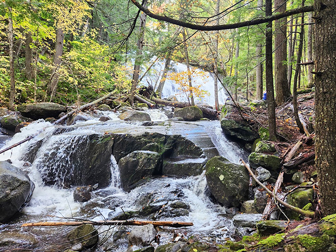 The "Jericho Steps" of Reed Brook Falls create a mesmerizing staircase of cascading water, each level offering its own miniature waterfall performance.