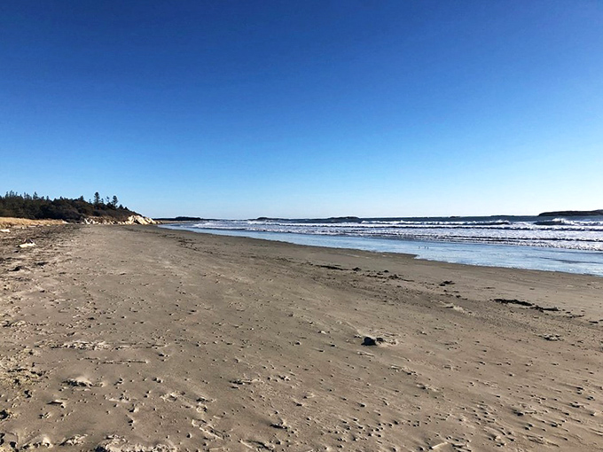 Miles of untouched sand await at Seawall Beach, where your footprints might be the first of the day.