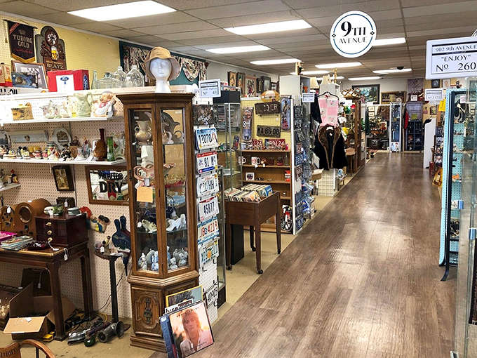 Down the rabbit hole you go! This aisle might lead to vintage vinyl, retro toys, or that perfect something you never knew you needed.