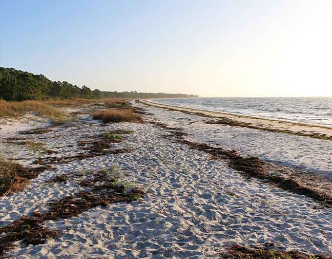 This is what Florida beaches looked like before the condos arrived, wild and wonderful and worth the drive.