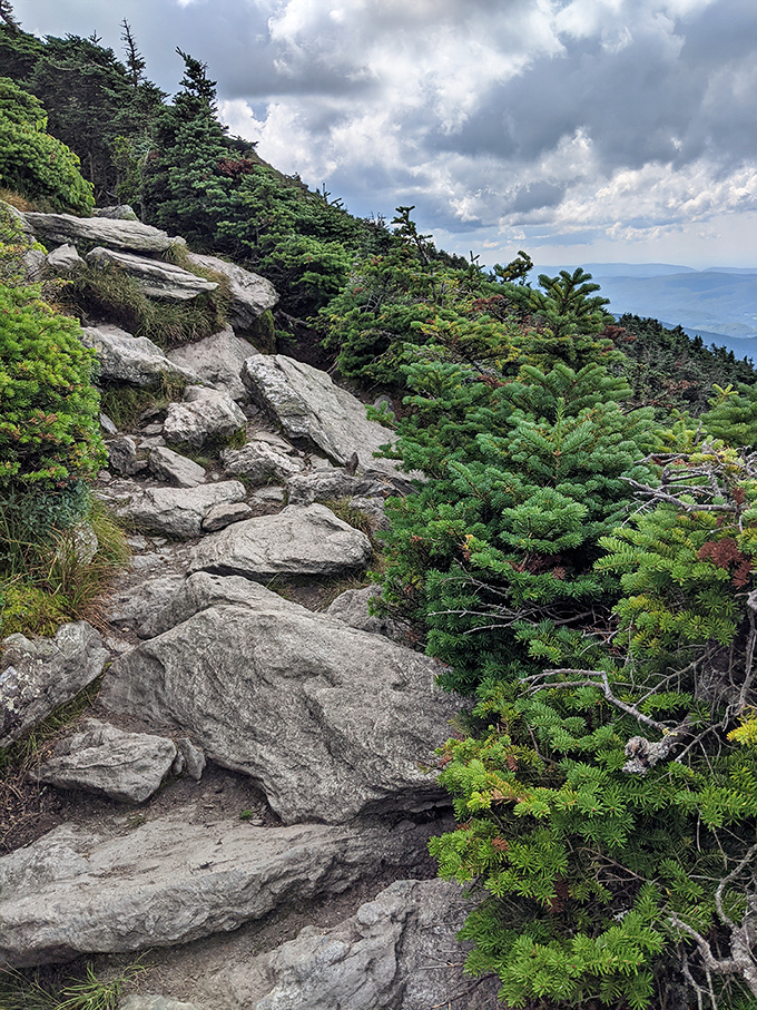 Nature's stairmaster awaits! These ancient rocks have witnessed countless hikers questioning their fitness level halfway up.