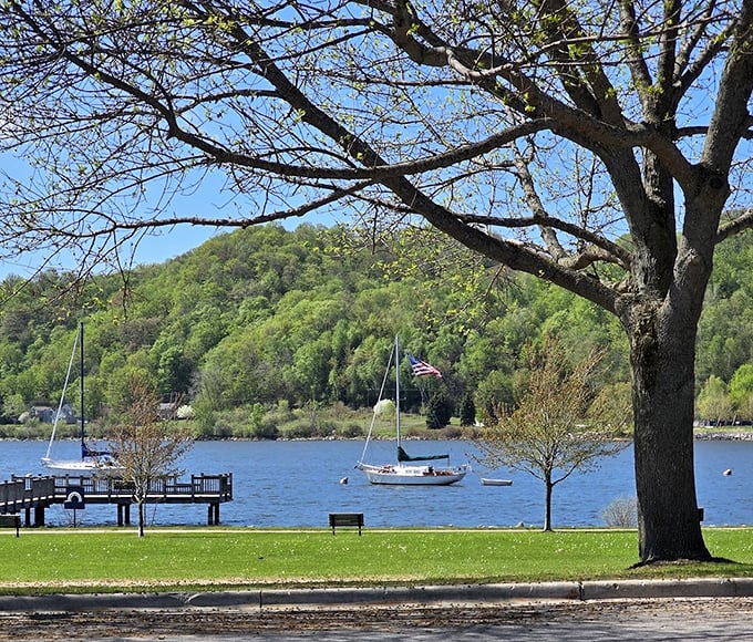 Sailboats gently bob on the water as trees frame this peaceful lakeside scene, nature's perfect postcard moment.