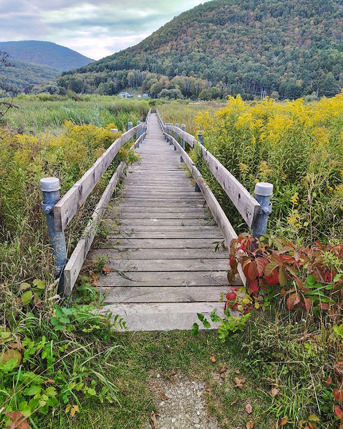 Boardwalk: Where solid ground gives way to adventure, one creaky plank at a time.