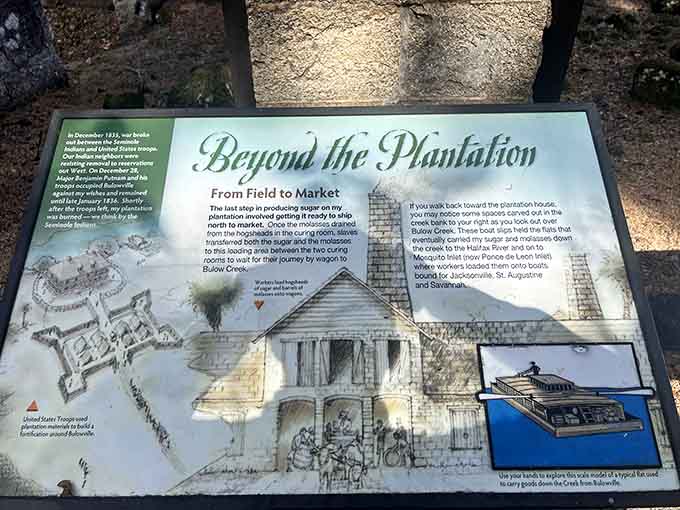 The interpretive signs here tell stories that textbooks somehow make boring, but standing in the actual spot makes absolutely riveting.