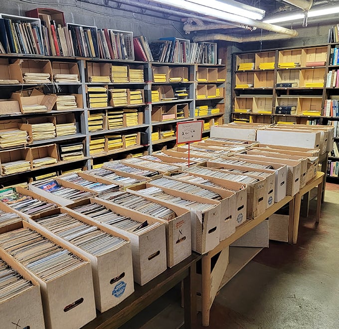 Cardboard boxes brimming with organized documents line tables in this hidden section, where patient browsers might uncover unexpected historical gems.