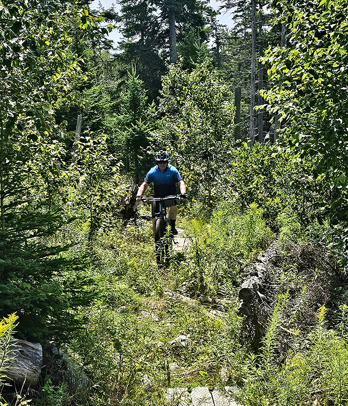 A lone cyclist finds solitude on the trail, proving sometimes the best company is no company at all.