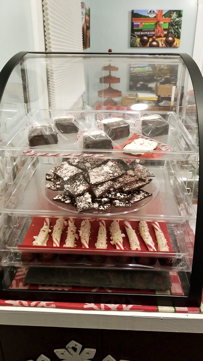 Chocolate temptation in three dimensions! These display cases don't just hold treats; they showcase edible artwork that makes willpower wave the white flag.