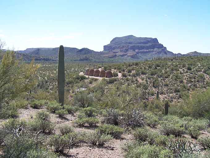 The ovens command the landscape with saguaros standing guard, creating a scene that's pure Arizona magic without even trying.