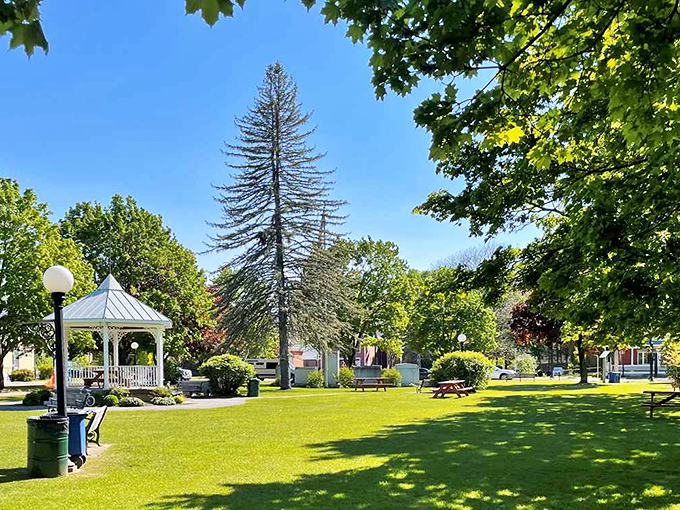 That gazebo isn't just for show, it's where community happens, one summer concert and town gathering at a time, surrounded by trees and tradition.