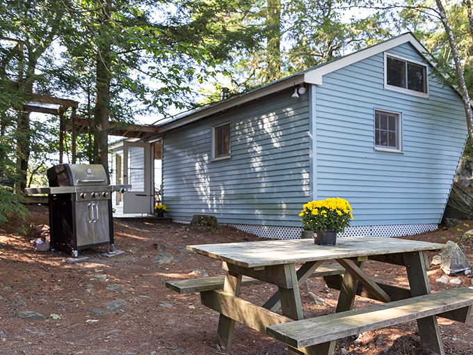 Outdoor dining reaches new heights when your restaurant has no walls, just trees, lake views, and the promise of s'mores later.