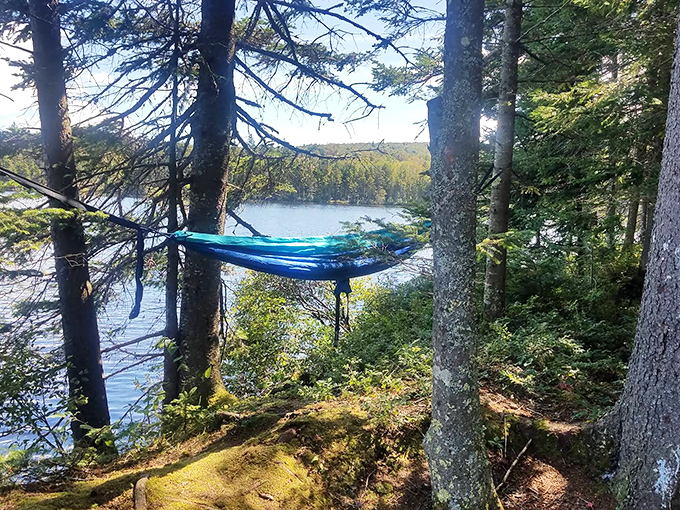 The ultimate forest reading nook: a hammock strung between ancient pines offers a suspended sanctuary with million-dollar views of Vermont's unspoiled wilderness.