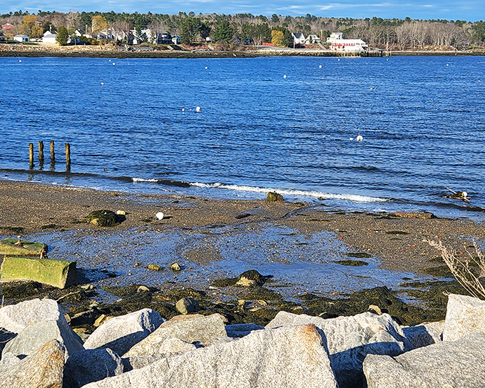 Crystal blue waters meet rocky shores in a quintessential Maine coastal scene that never gets old.