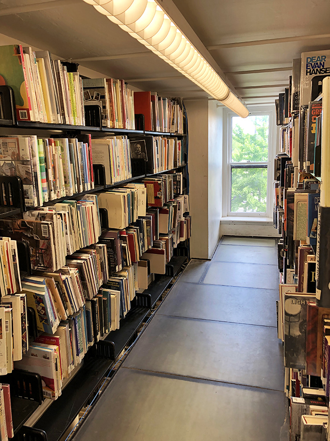 Rows upon rows of literary treasures line these shelves, each spine promising a new adventure or insight in this book lover's paradise.