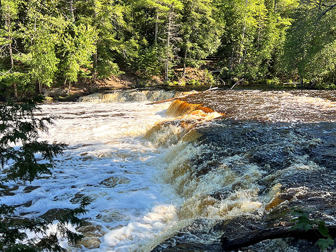 The river splits into playful cascades around a central island, nature's version of "choose your own adventure."