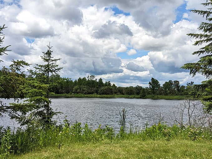Ludlow Pond reflects the surrounding wilderness like a mirror, creating a double dose of Minnesota's natural beauty.