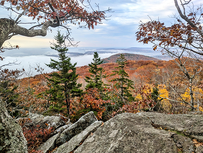 Nature's paintbrush: Fall foliage transforms Camden Hills into a masterpiece of crimson, gold, and evergreen.