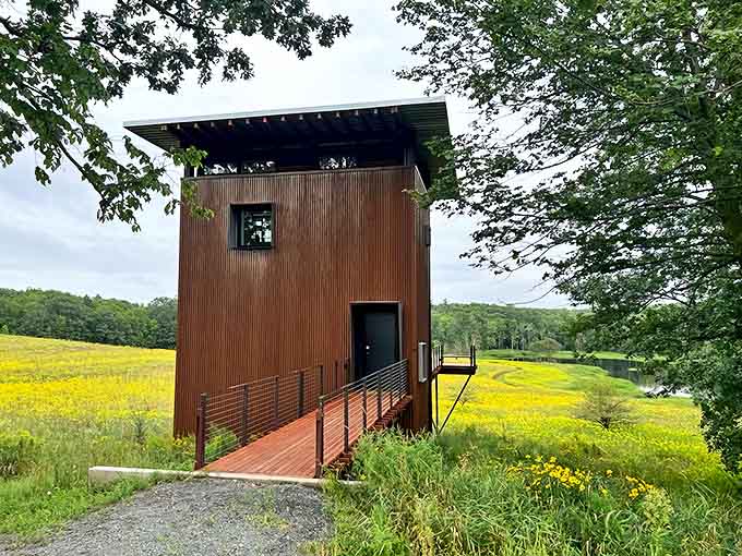 That entrance walkway stretches toward the tower like a red carpet rolled out by Mother Nature herself, inviting you to leave the ordinary world behind.