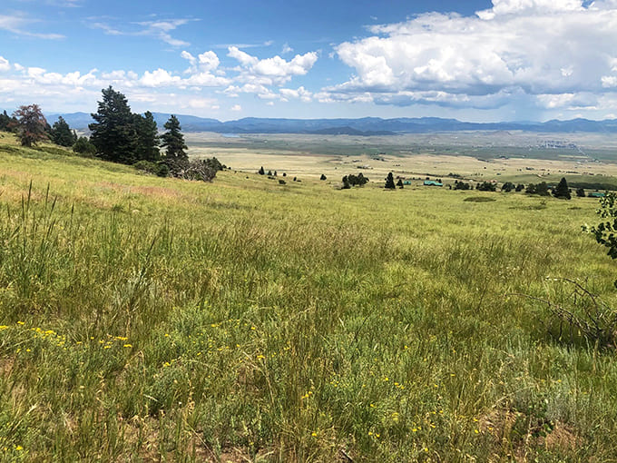 These rolling meadows stretch toward distant mountains like nature's own welcome mat, inviting you to explore what lies beyond the next ridge.