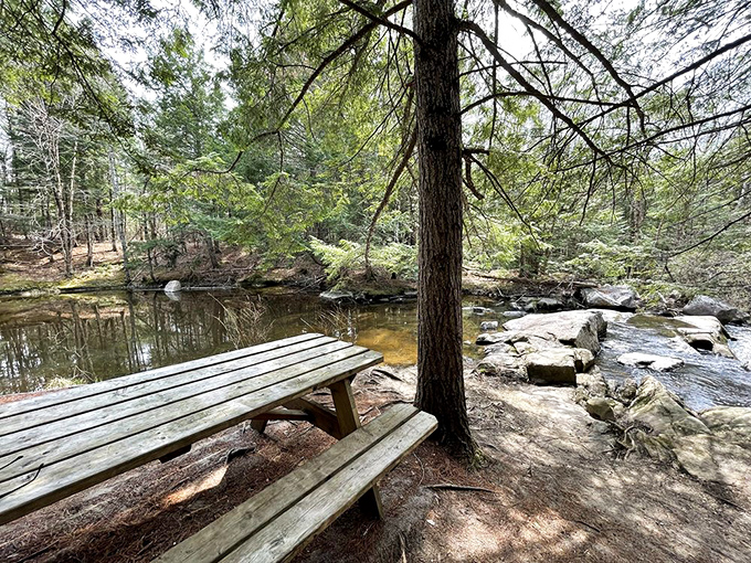 Nature's dining room awaits &ndash; this streamside picnic spot offers lunch with a soundtrack of gurgling water and rustling leaves.