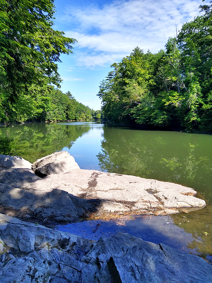 The Presumpscot River flows serenely between tree-lined banks, reflecting the vibrant green canopy above.