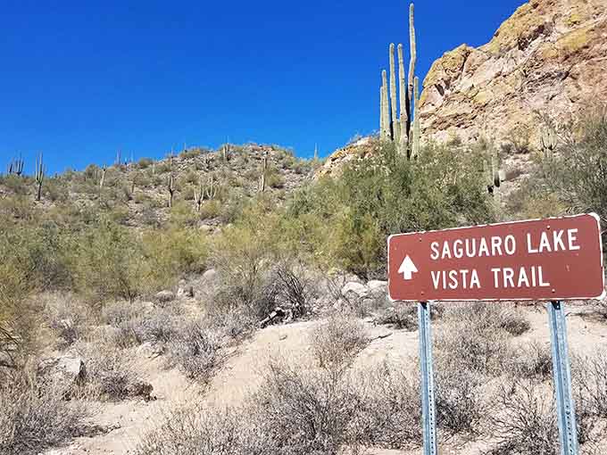 The Vista Trail sign promises views worth the hike, and unlike most promises, this one actually delivers with interest and spectacular scenery.