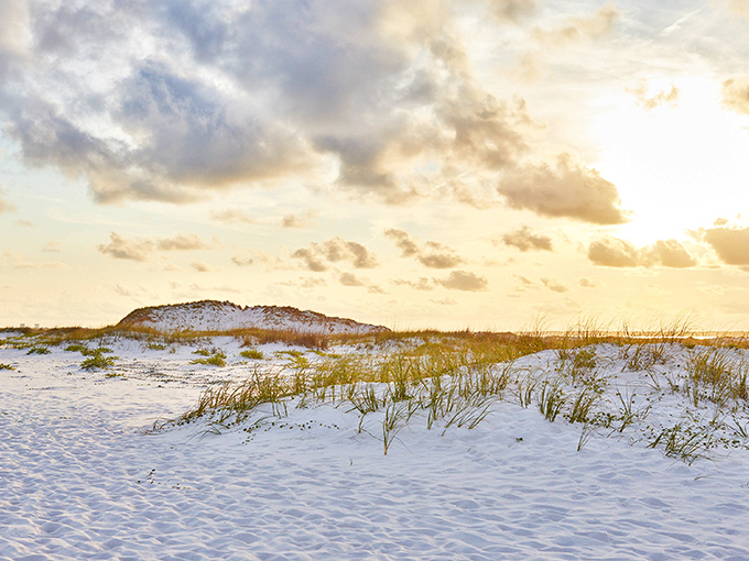 The dunes and sea oats create nature's perfect frame for sunset views that make smartphone cameras work overtime.