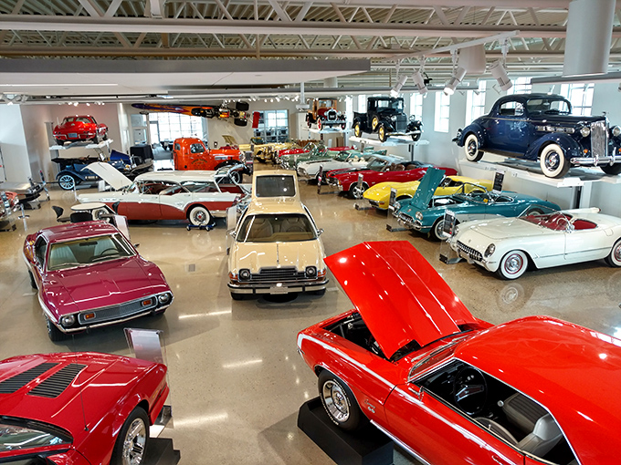 Chrome gleams and engines dream at The Automobile Gallery, where vintage beauties rest in a showroom so clean you could eat Wisconsin cheese off the floor.