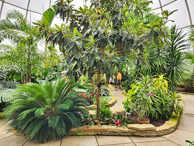 Step into this steamy jungle paradise and suddenly Michigan's winter becomes a distant memory, replaced by exotic blooms and lush greenery.