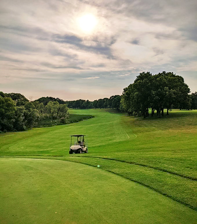 Emerald fairways meet azure skies at Whitnall Park Golf Course, where golfers share the landscape with deer, foxes, and soaring birds.