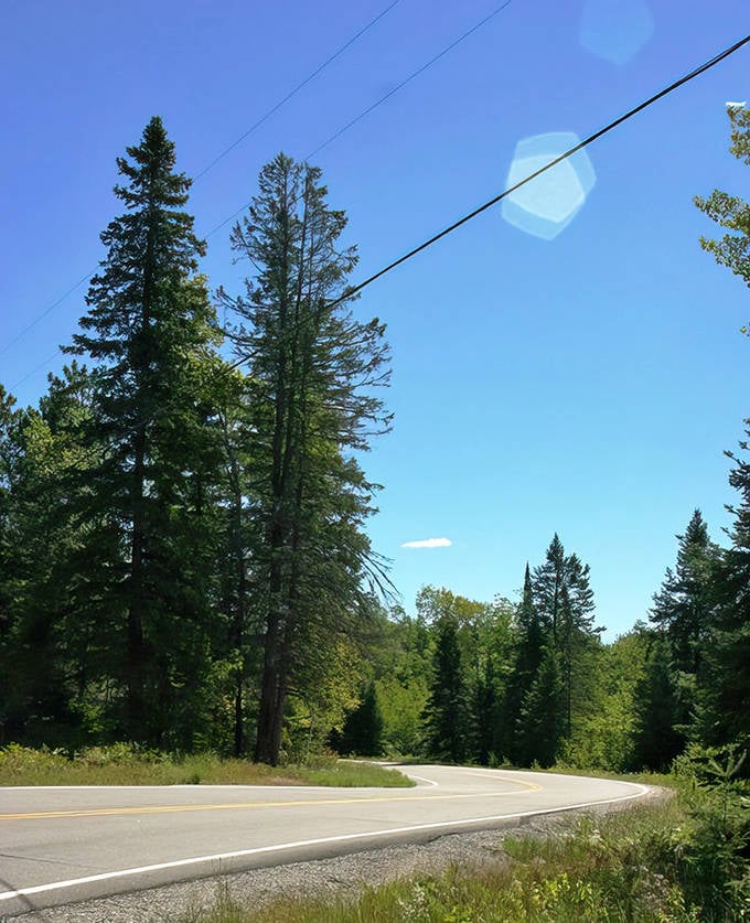 Nature frames the journey with towering pines as Highway 1 curves gently ahead, promising new discoveries around each bend.