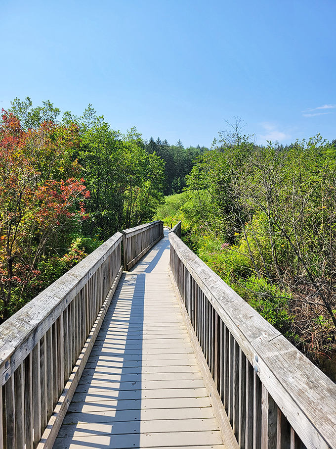 This isn't just any bridge &ndash; it's a front-row ticket to Vermont's greatest show, no formal attire required.