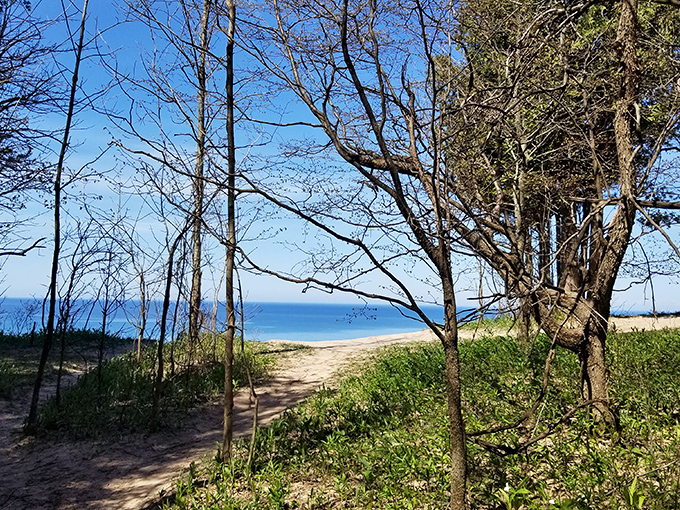 Follow this enchanted forest path as it whispers promises of spectacular lake views just beyond the tree line.