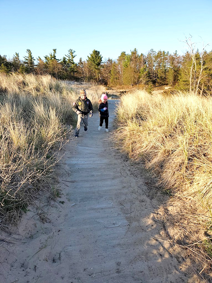 Wooden boardwalks blend in as they wind through fragile dune ecosystems, protecting the environment while guiding hikers through seas of waving beach grass.