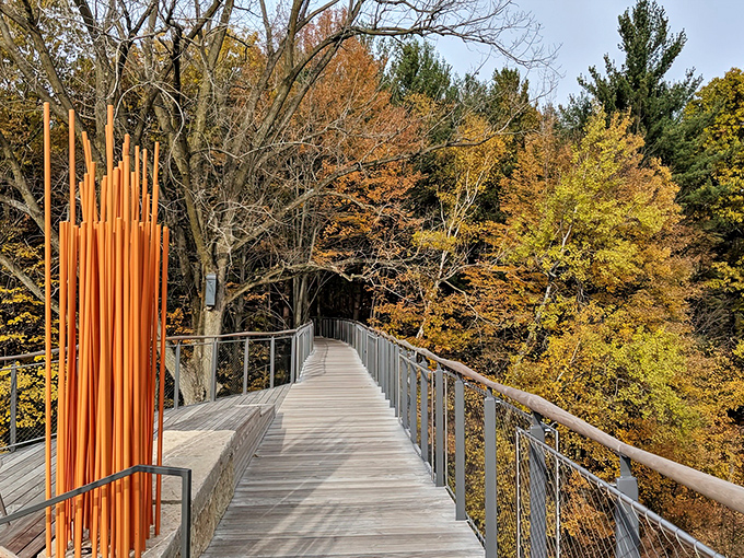Fall paints Dow Gardens in fiery hues, creating a kaleidoscope of color that makes even the squirrels stop and stare.