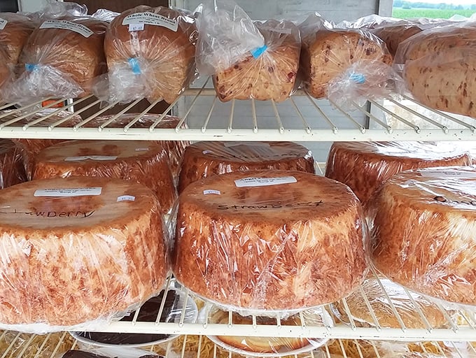 Golden loaves and cinnamon-swirled treasures await – each bread a testament to the art of patient baking and quality ingredients.