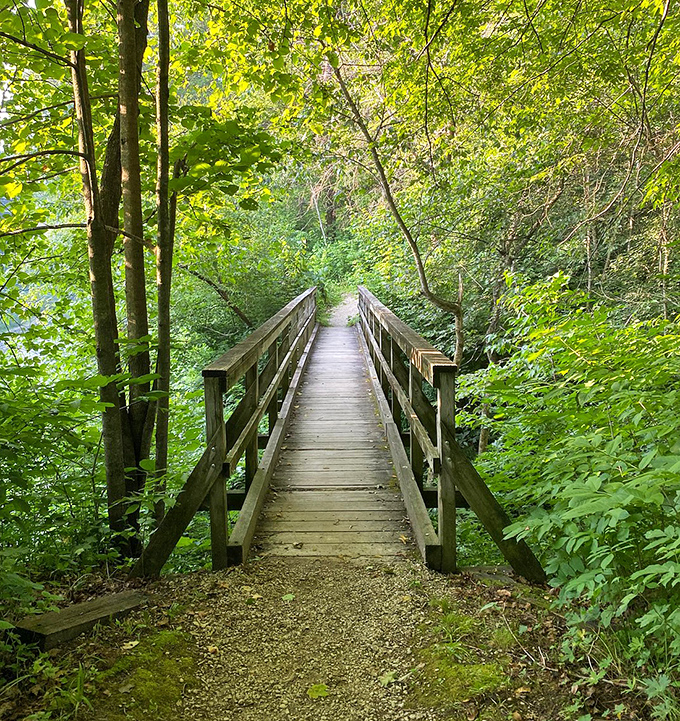 This unassuming wooden bridge is actually a portal between worlds &ndash; ordinary Minnesota above, extraordinary mystery below.