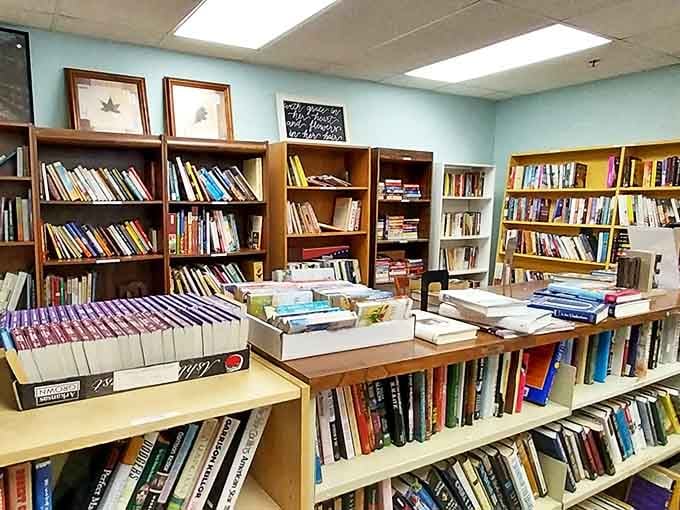 Literary treasures line these shelves like a lending library where you get to keep everything, from forgotten bestsellers to obscure gems waiting for rediscovery.