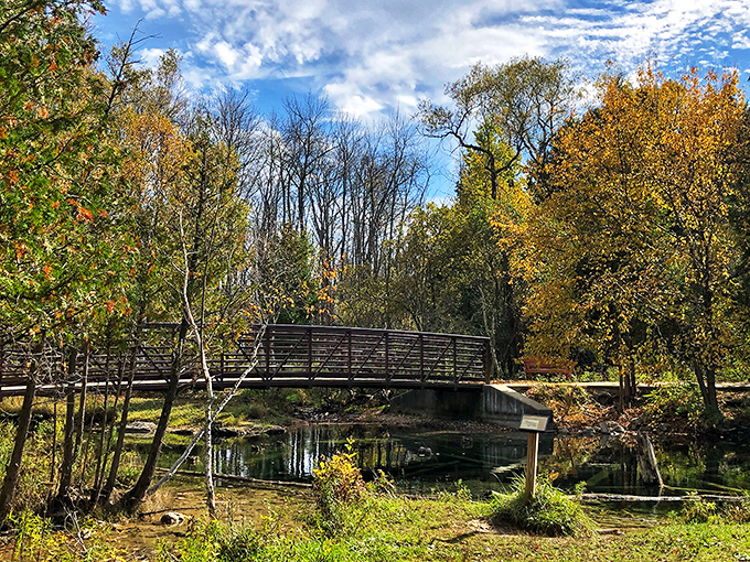 This rustic bridge isn't just crossing water; it's connecting you to memories waiting to be made on the other side.