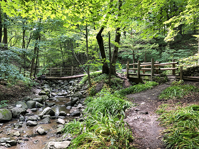 A rustic footbridge spans the bubbling creek, its weathered wood telling stories of countless crossings through changing seasons.