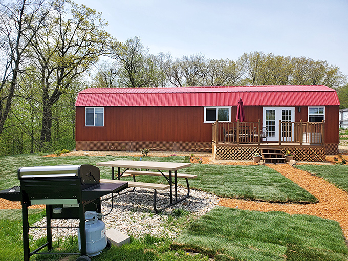 Home away from home: The cozy cabin offers all modern comforts while surrounded by nature's most magnificent predators.