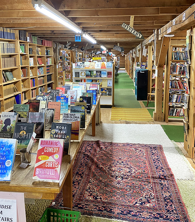 The worn carpet has guided countless footsteps on treasure hunts, its path winding through literary worlds and vintage collections.