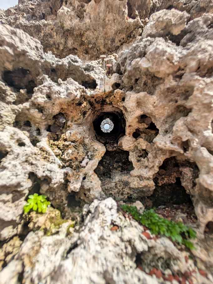 Get up close and you'll see every chisel mark, every deliberate cut in the coral rock, each one representing hours of solitary work under moonlight.