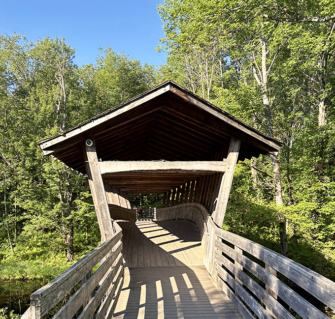 Sunlight streams through a covered wooden walkway, creating dramatic shadows that dance across weathered planks.