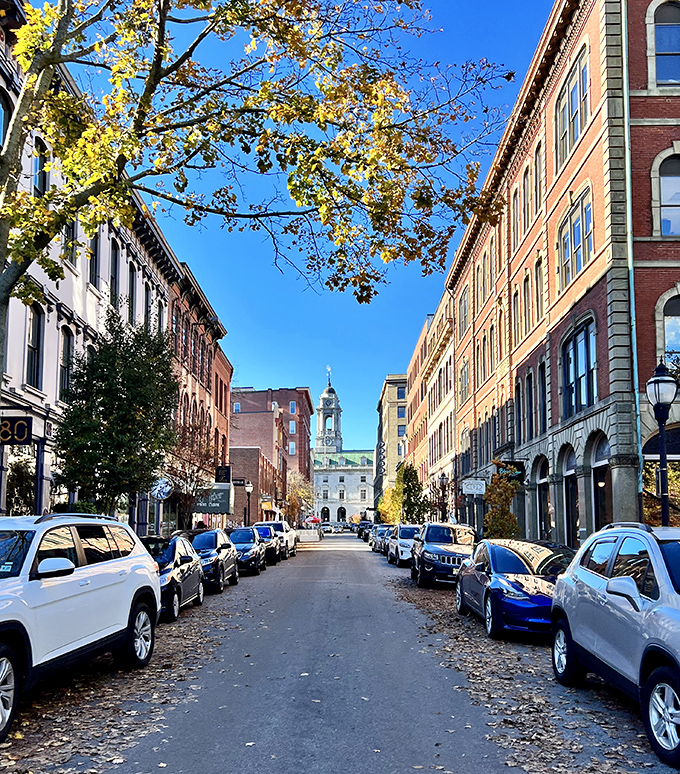 Where history and hipsters coexist peacefully &ndash; these streets have seen everything from horse-drawn carriages to craft cocktail enthusiasts.