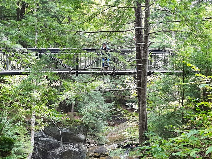 Visitors pause on the observation bridge, momentarily speechless before the inevitable "Wow!" escapes their lips.