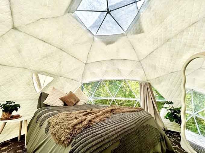 Sleep under the stars without sacrificing your mattress, because even nature lovers deserve a good night's rest with proper lumbar support.