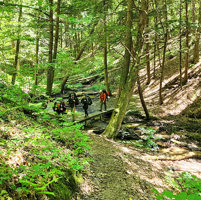 Hikers traverse a wooden footbridge, proving that sometimes the journey through nature requires a little human engineering.