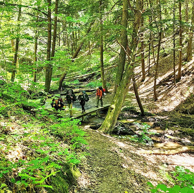Adventurers traverse a forest path where sunlight filters through the canopy, creating nature's own spotlight on their woodland journey.