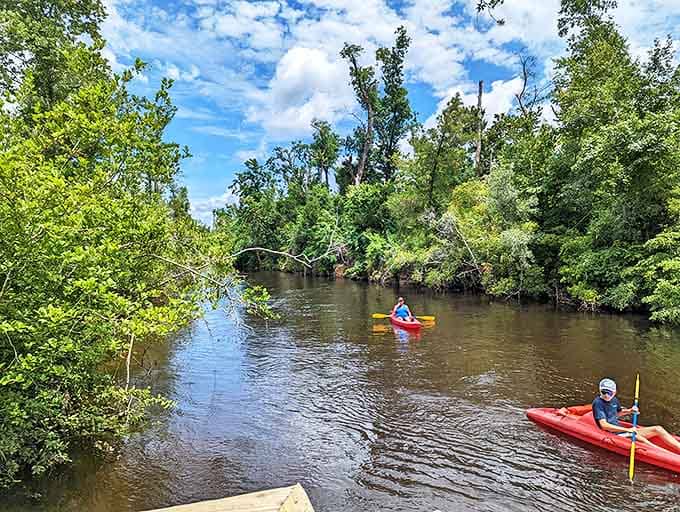 Paddle your way to serenity: Kayakers navigate Econfina Creek's gentle current, where every bend reveals a new postcard-worthy vista.