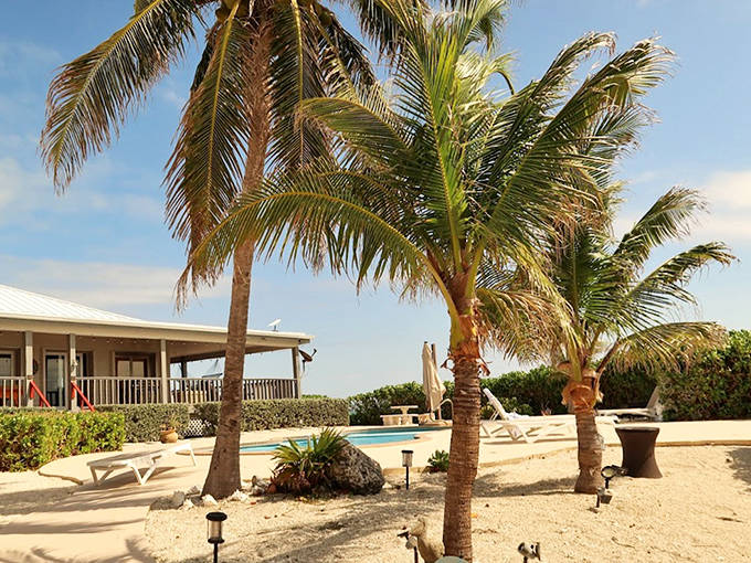 Palm sentinels stand guard over paradise, their fronds whispering secrets of island life while providing shade for afternoon daydreams.